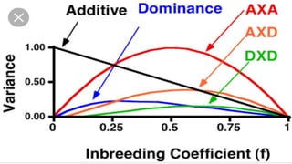 Variance And Its Components | PPTX