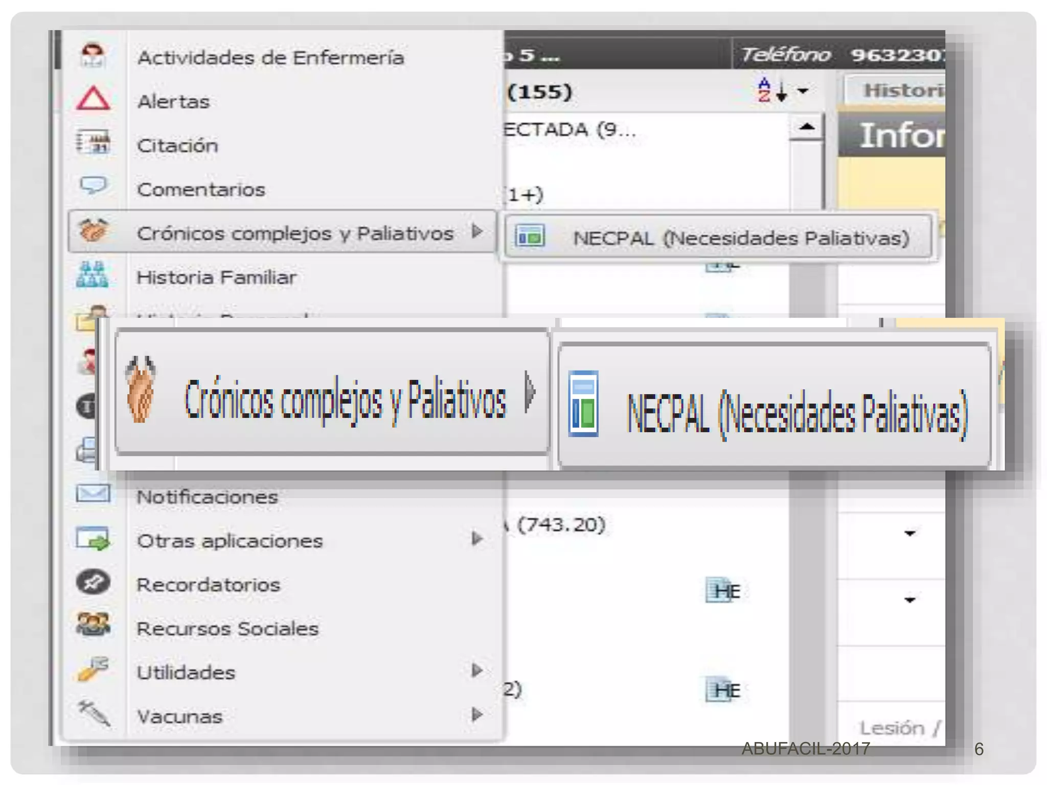 Identificación Necesidades PAliativas, Abucasis. NECPAL | PPTX