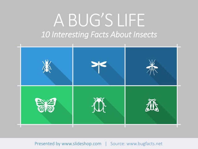 A Bug's Life - 10 Interesting Facts About Insects | PDF | Birdwatching ...