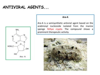 Marine Pharmacognosy | PPT