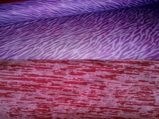 Burn-out printing | PDF