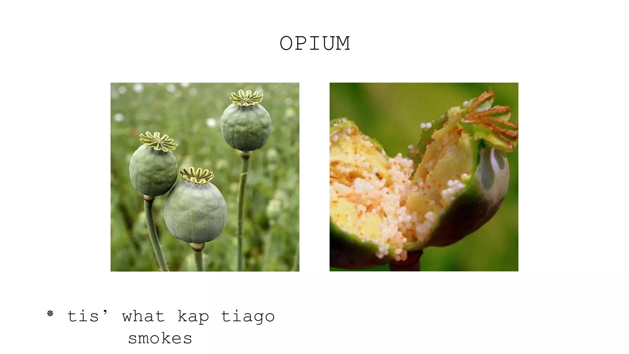 Abuse and Effects of Narcotics | PPT