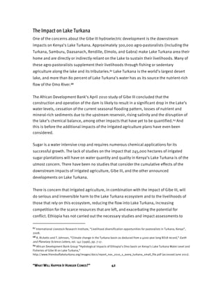 Abuses against the indigenous peoples of ethiopia's lower omo valley | PDF