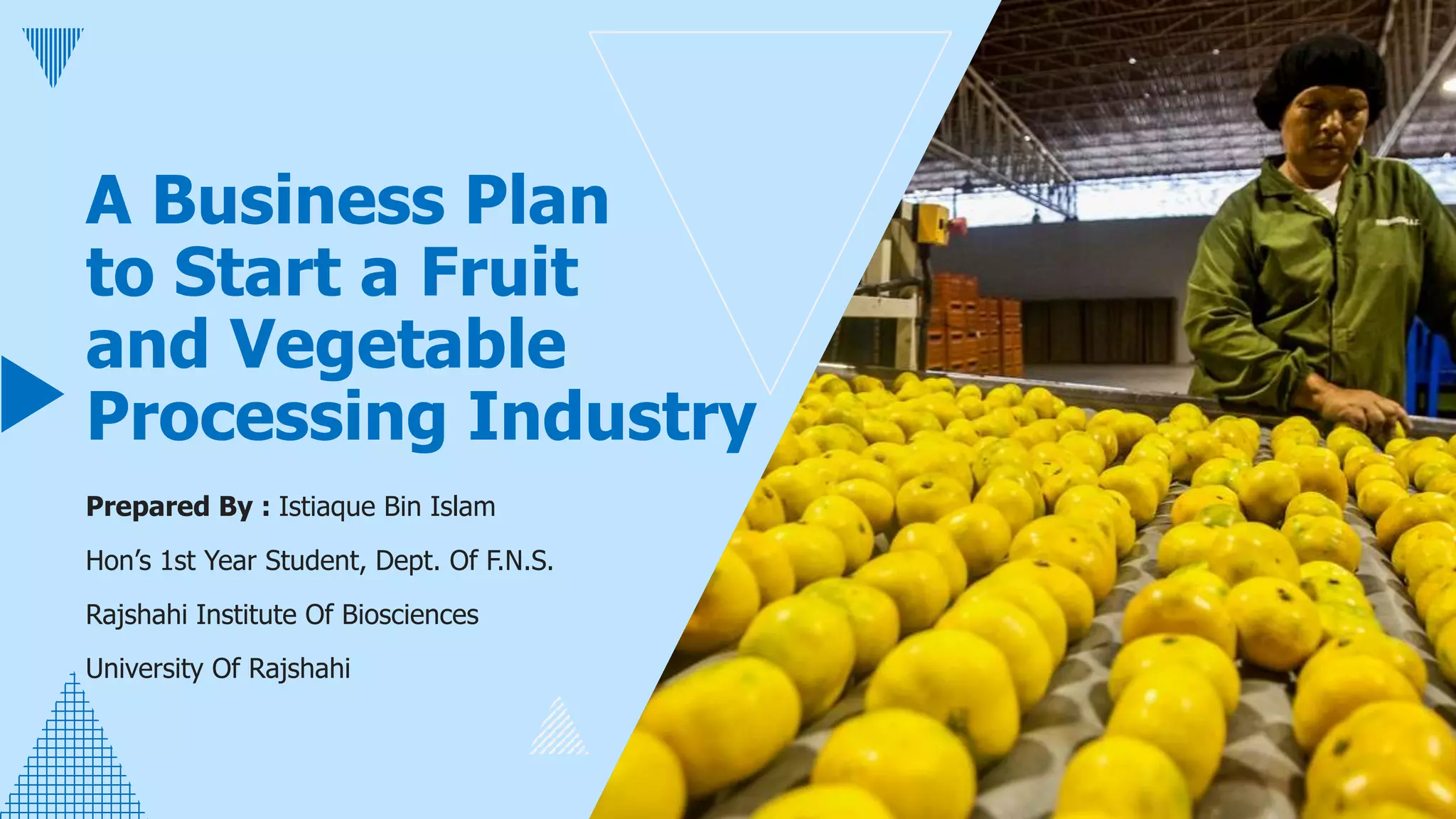 A business plan to start a fruit and vegetables processing industry | PPTX