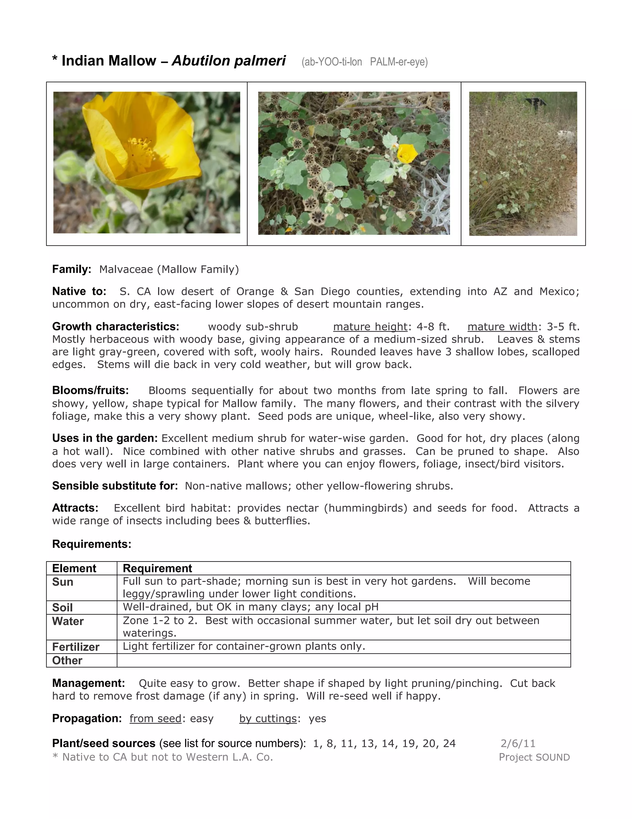 Abutilon palmeri | PDF
