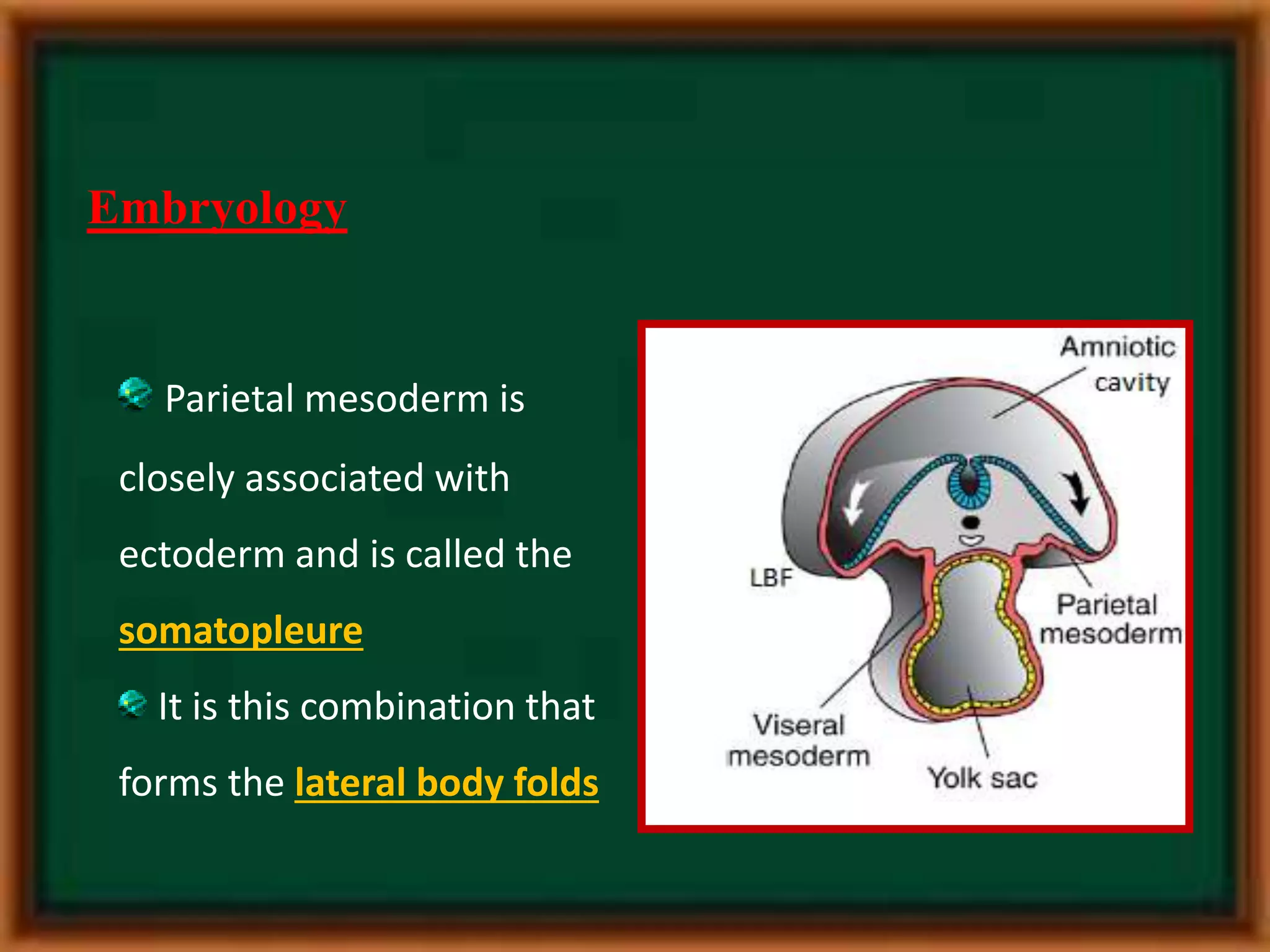 Abdominal wall defects | PPTX