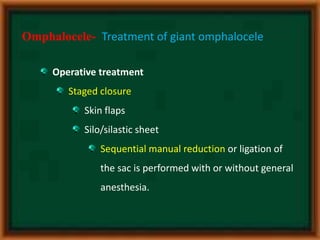 Abdominal wall defects | PPTX
