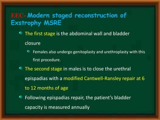 Abdominal wall defects | PPTX