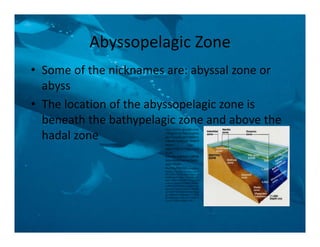 Abyssopelagic Zone