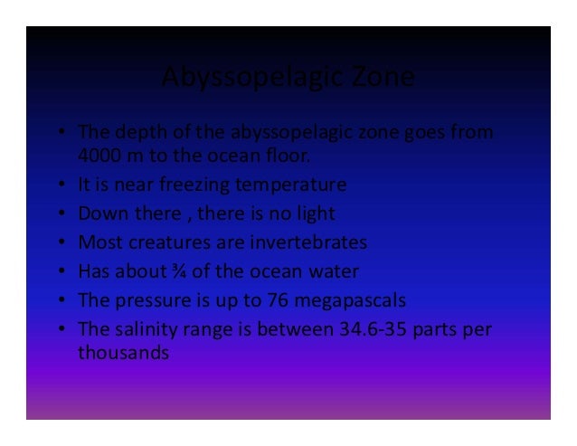 Abyssopelagic zone