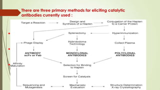 Abzyme(catalytic antibody) | PPTX