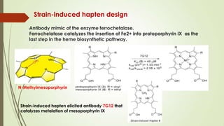 Abzyme(catalytic antibody) | PPTX
