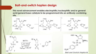 Abzyme(catalytic antibody) | PPTX