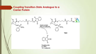 Abzyme(catalytic antibody) | PPTX