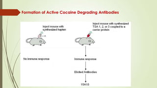 Abzyme(catalytic antibody) | PPTX