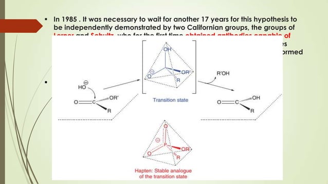 Abzyme(catalytic antibody) | PPTX