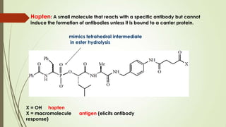 Abzyme(catalytic antibody) | PPTX