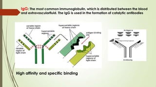 Abzyme(catalytic antibody) | PPTX