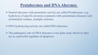 Abzymes | PPTX