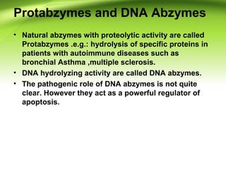Abzymes | PPT