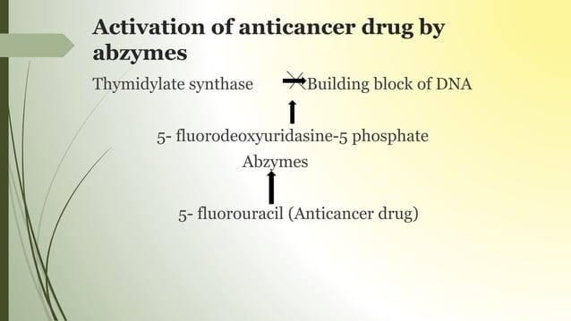 Abzymes, ribozymes | PPTX | Chemistry | Science