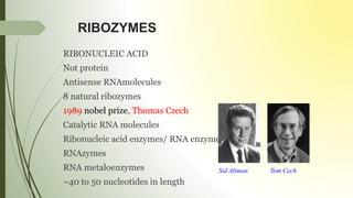Abzymes, ribozymes | PPTX