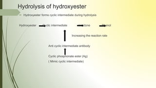 Abzymes, ribozymes | PPTX
