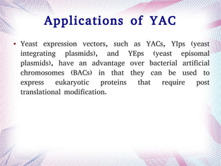 Artificial Vectors | PDF