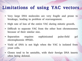 Artificial Vectors | PDF