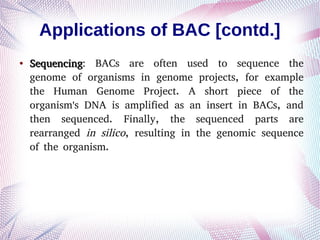 Artificial Vectors | PDF