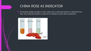 ACIDS BASES AND SALTS | PPTX