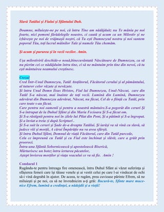 Acatistul Sfântului Efrem cel nou pentru ridicarea din deznădejde sau ...