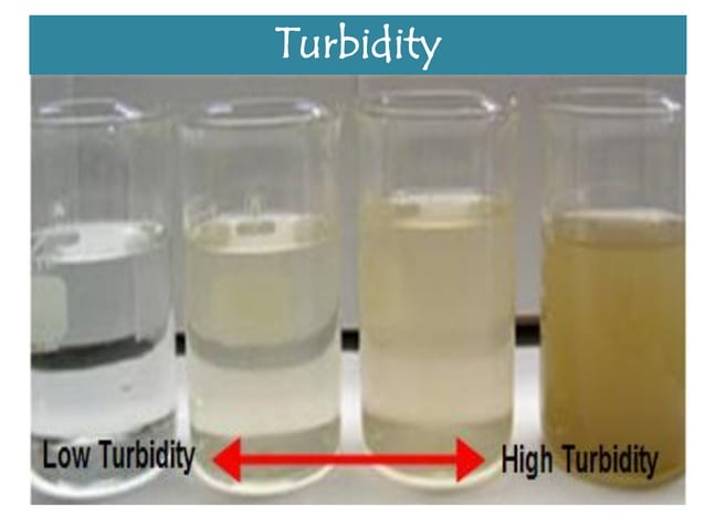 Biochar, Water & Filtration | PDF