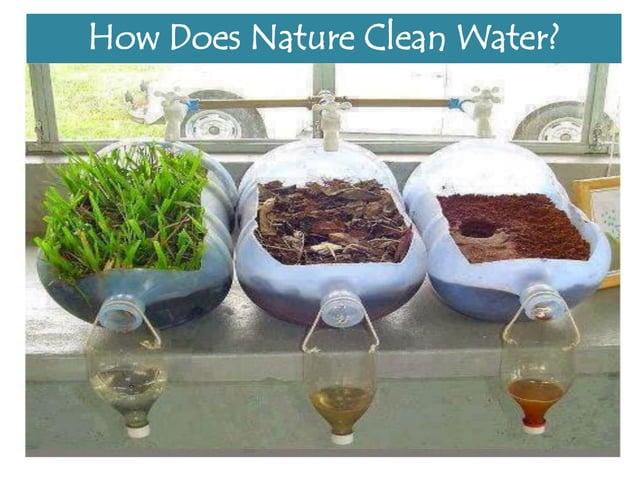 Biochar, Water & Filtration | PDF