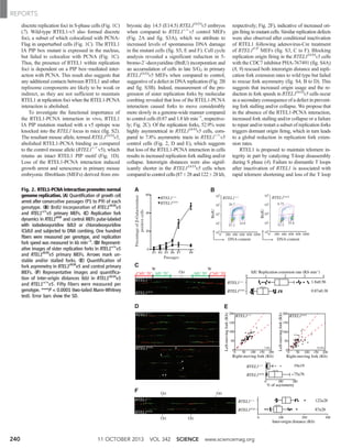 Science-2013-Vannier-239-42 | PDF