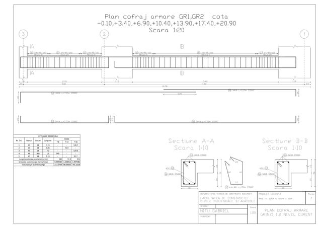 Alipire Tunari-armare grinzi | PDF