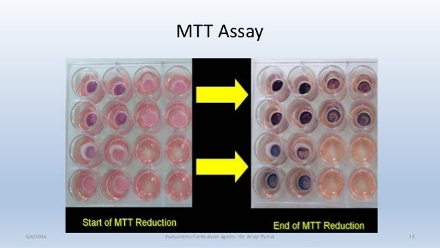 Evaluation of anticancer agents final