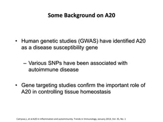 Analyses of Regulatory Regions of Human TNFAIP3 Gene | PPTX