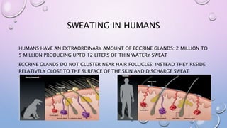 Naked Truth | PPTX | Skin and Dermatology | Diseases and Conditions