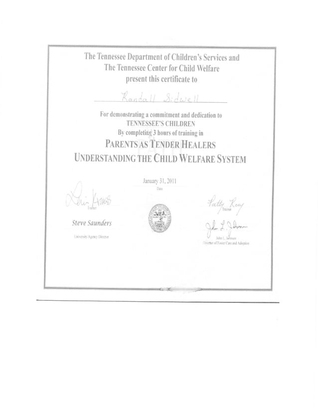 Child Development Certificates | PDF | Adoption and Fostering | Parenting