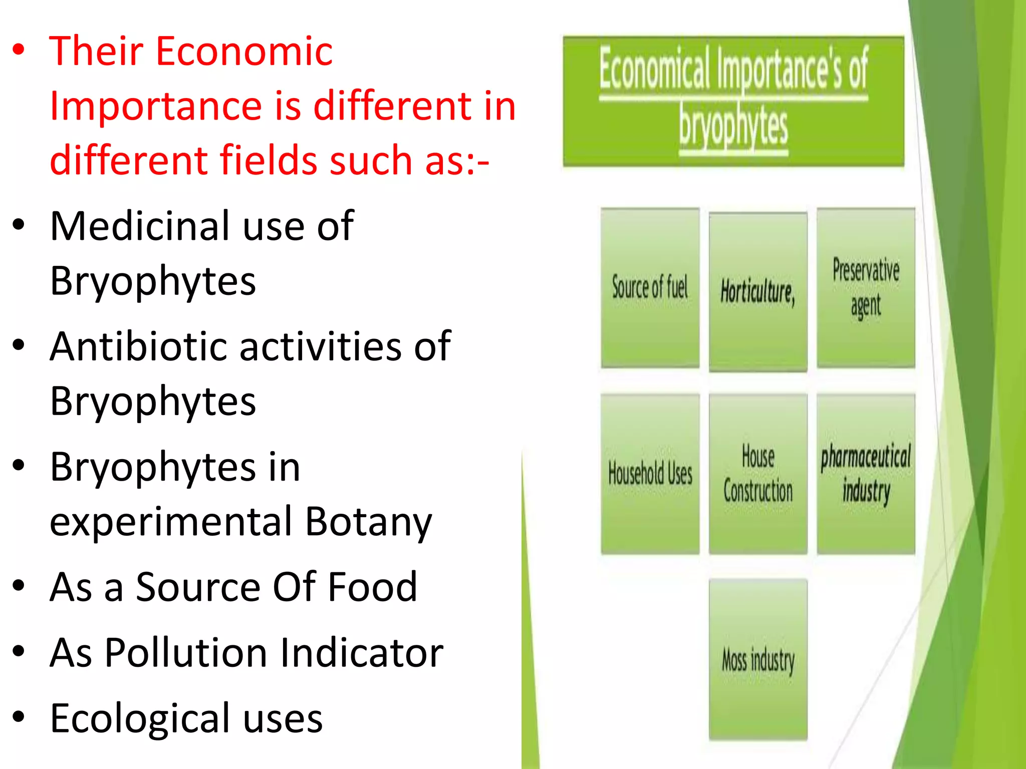 ECONOMIC IMPORTANCE OF BRYOPHYTES | PPTX