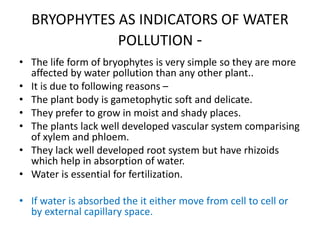 ECONOMIC IMPORTANCE OF BRYOPHYTES | PPTX