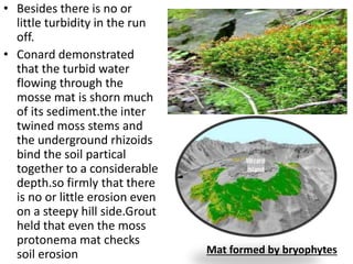 ECONOMIC IMPORTANCE OF BRYOPHYTES | PPTX