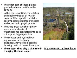 ECONOMIC IMPORTANCE OF BRYOPHYTES | PPTX