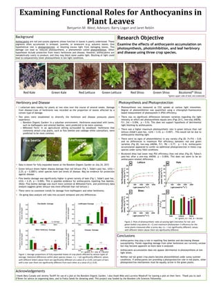 Symposium Poster Final | PDF