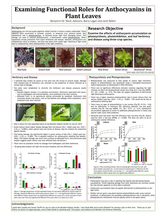 Symposium Poster Final | PDF