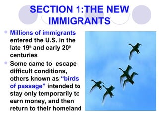 Immigrants and Urbanization | PPT | Genealogy and Ancestry | Hobbies ...