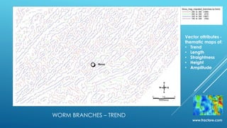 NOVA REGION AEROMAGNETIC WORMS | PPT