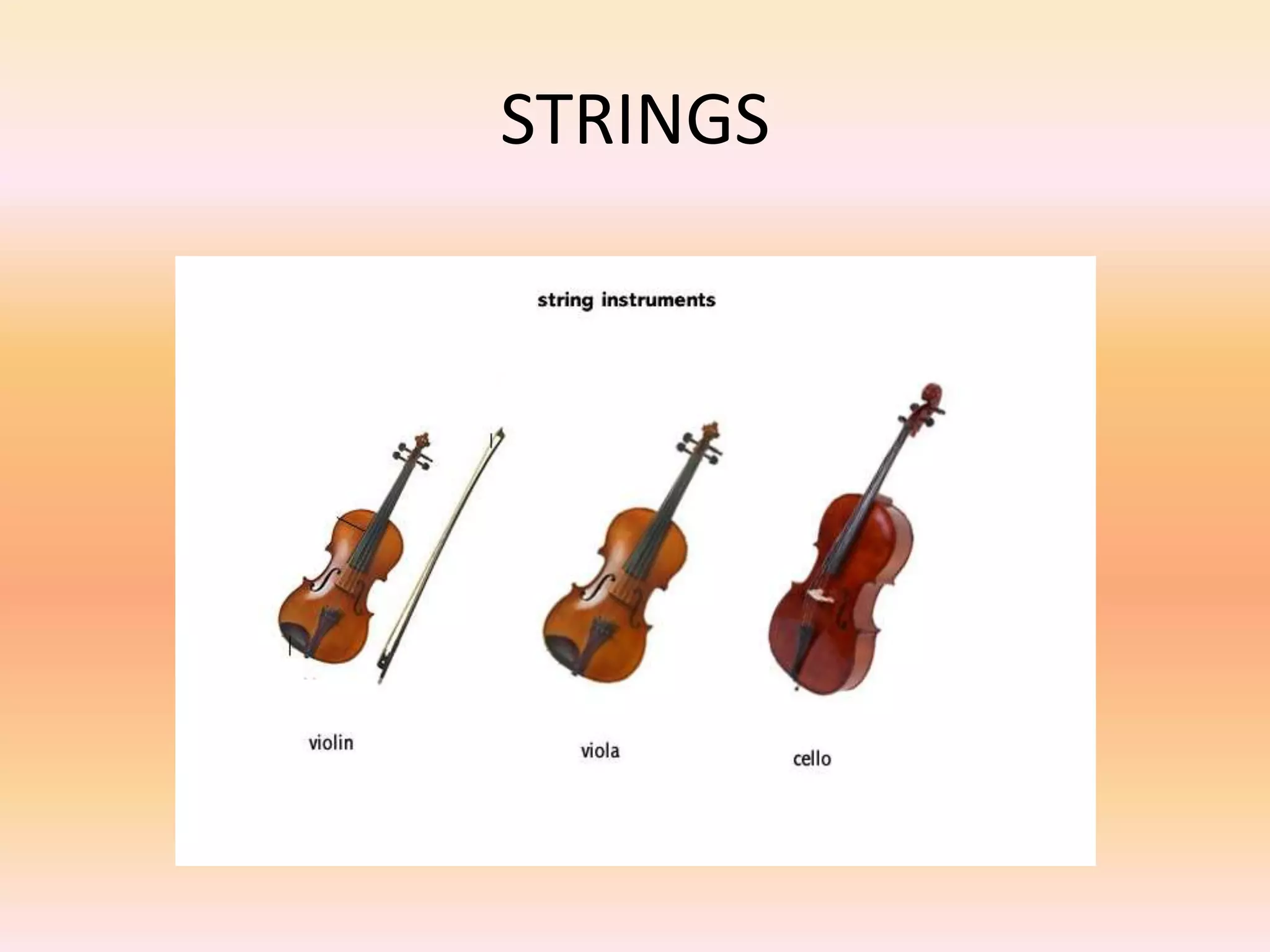 The orchestra | PPT