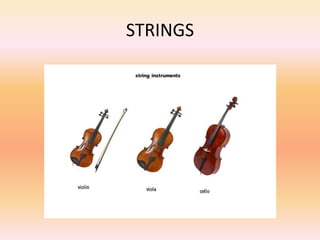 The orchestra | PPTX